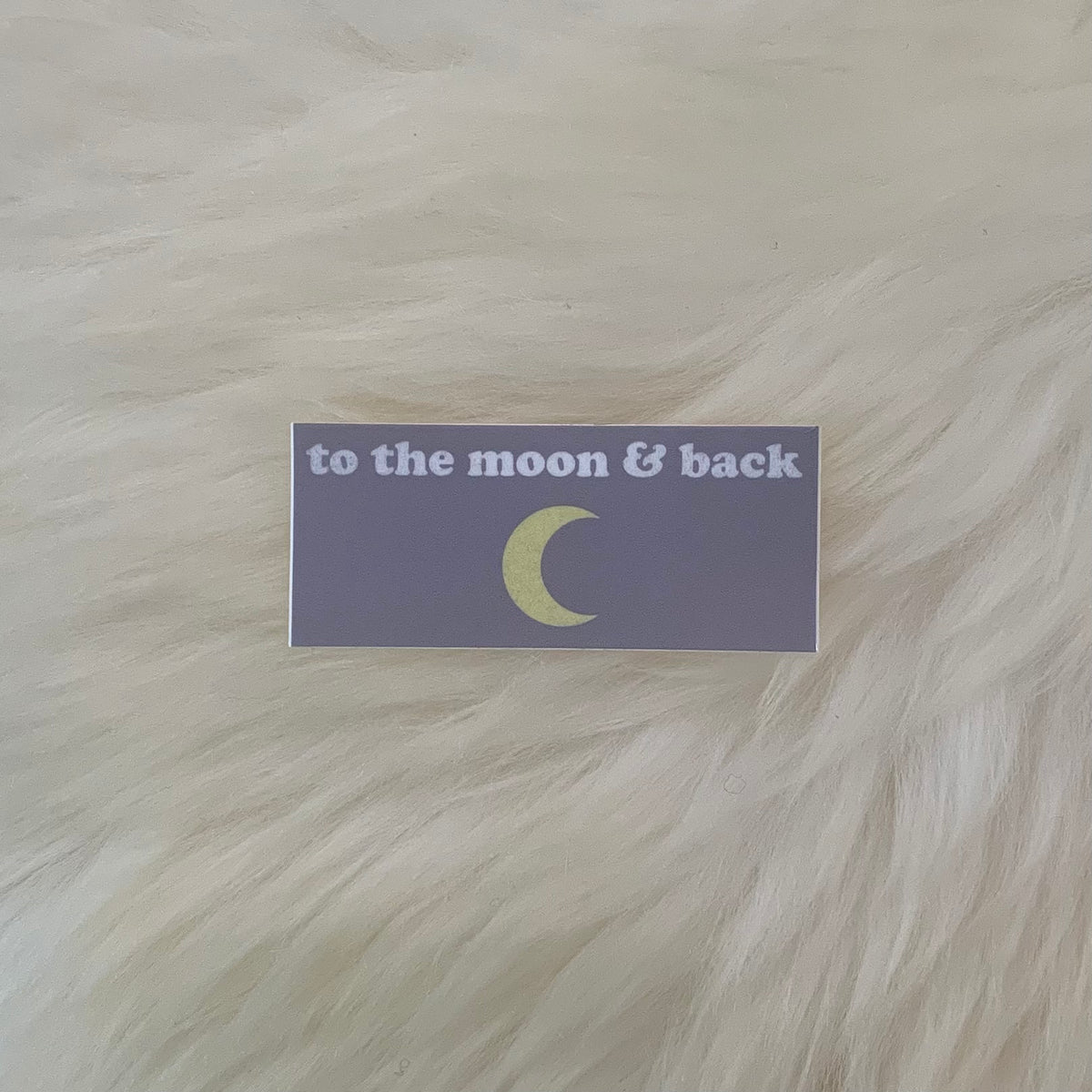 To the Moon & Back Sticker – Best Bad Influence